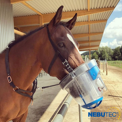 SaHoMa Inhalation set | Kevin Bacon's